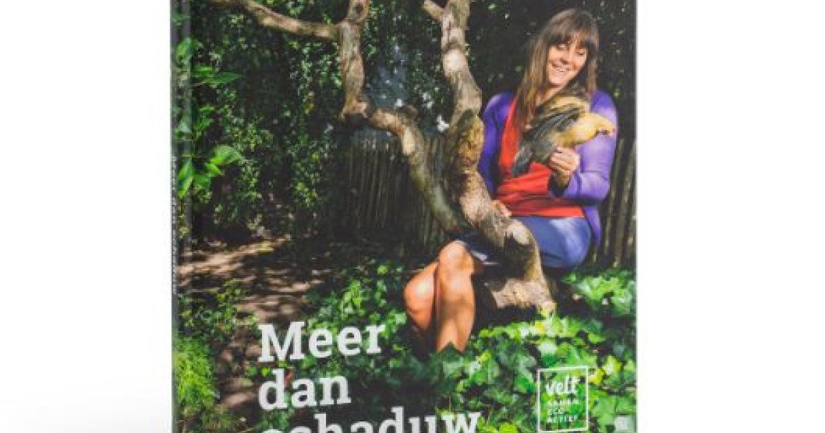 Meer dan schaduw | Velt